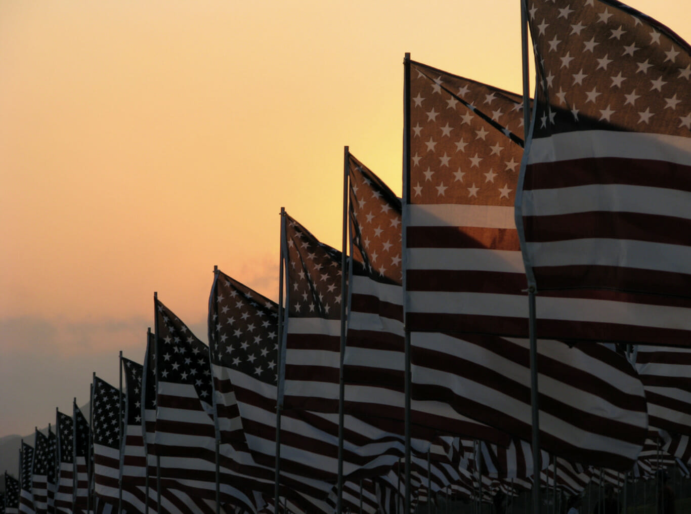 Understanding the Difference between the WTC Health Program’s Disaster ...